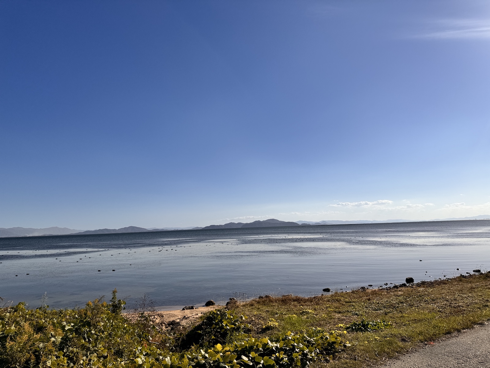 隠し球（笑）第一球目＊＊＊＊＊＊965万円・敷地約150坪・琵琶湖畔（琵琶湖まで約50m）・建物建築可能（建蔽率60% 容積率200%）・この ...